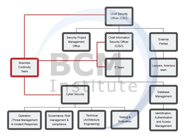 CIR PM Cyber Security Team Structure